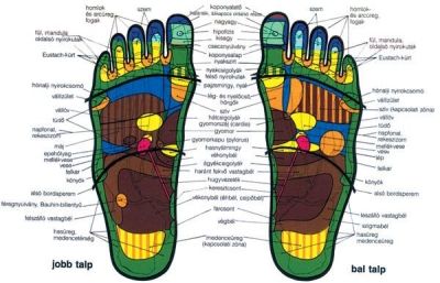 Egészségügyi tudakozó - Klaj Judit- Talpreflexológus Miskolcon